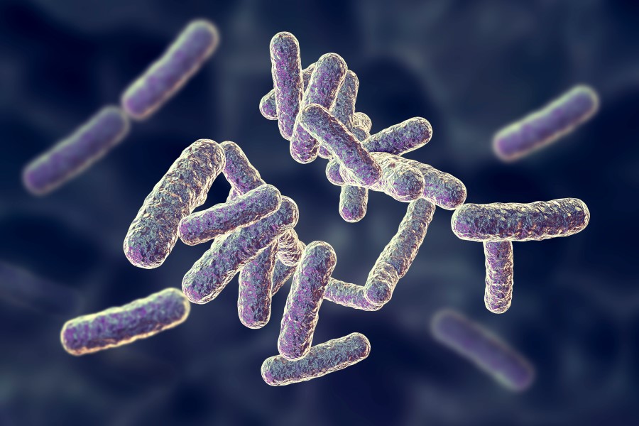 Escherichia coli (pałeczka okrężnicy) – objawy zakażenia, leczenie ...